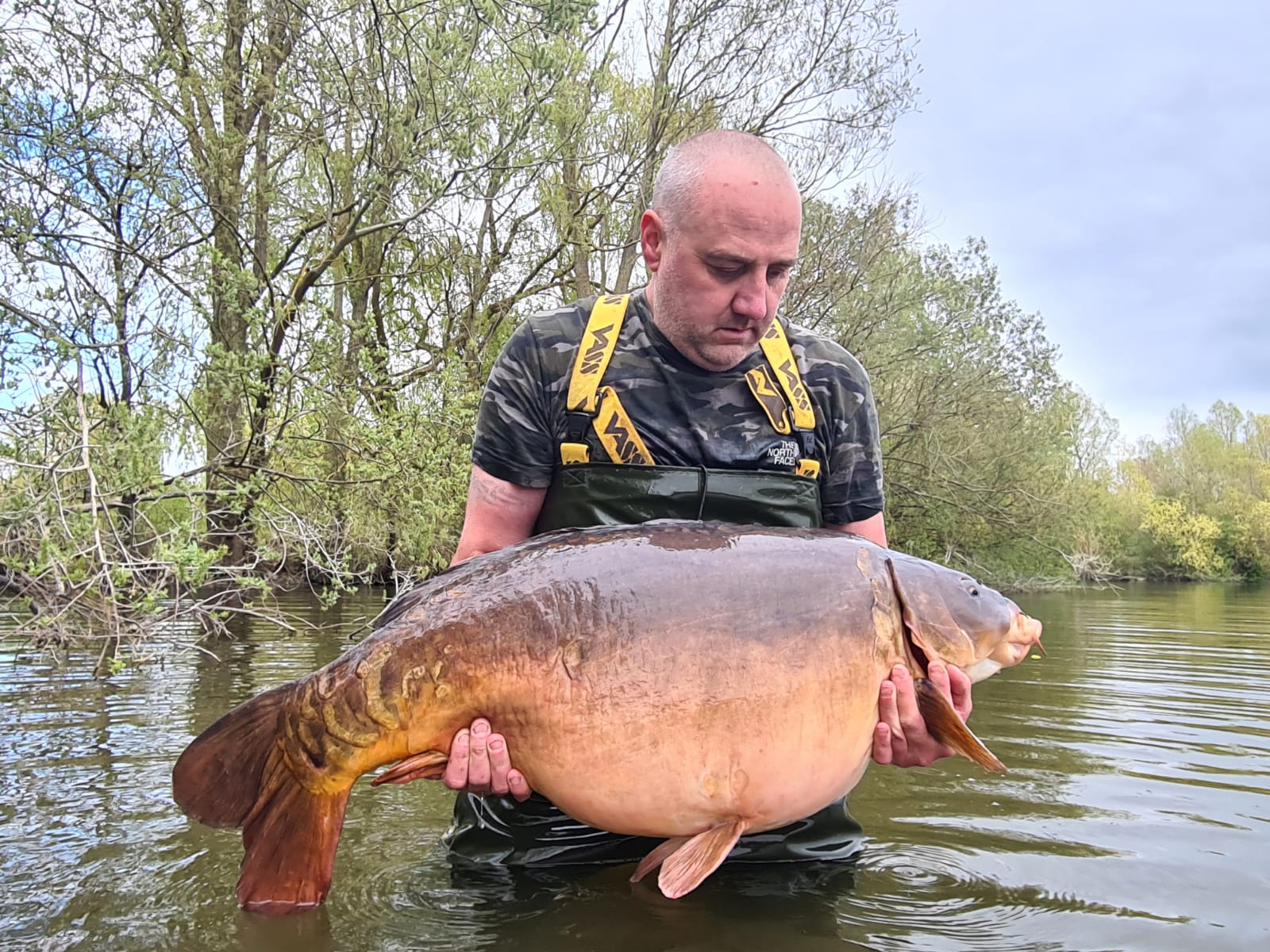 Simon Harris Fish | Total Carp